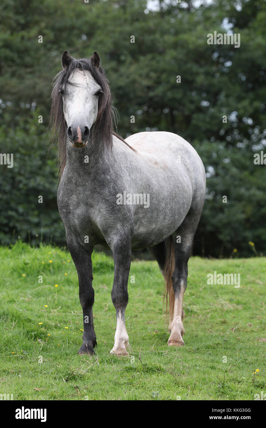 Section of a field hi-res stock photography and images - Alamy