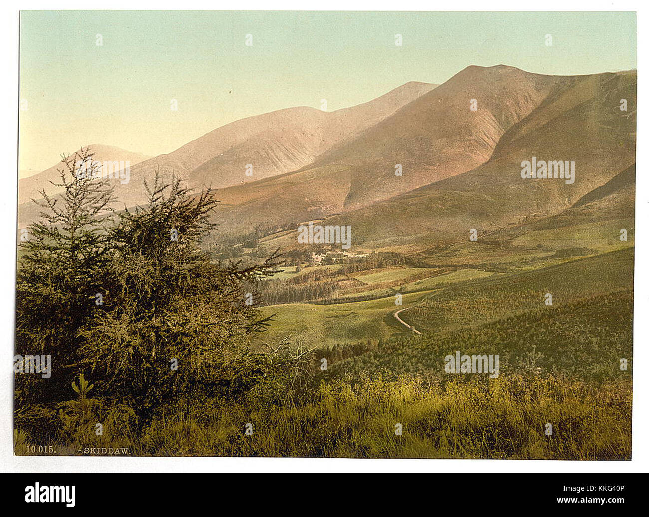 A vintage natural landscape with trees Stock Photo - Alamy