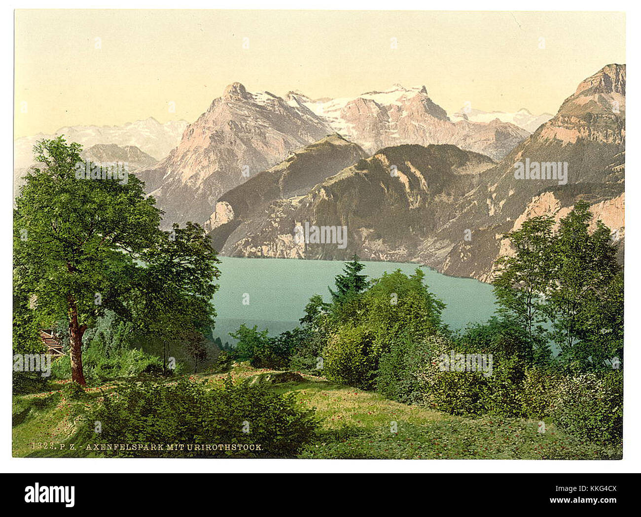 A vintage natural landscape with trees Stock Photo - Alamy