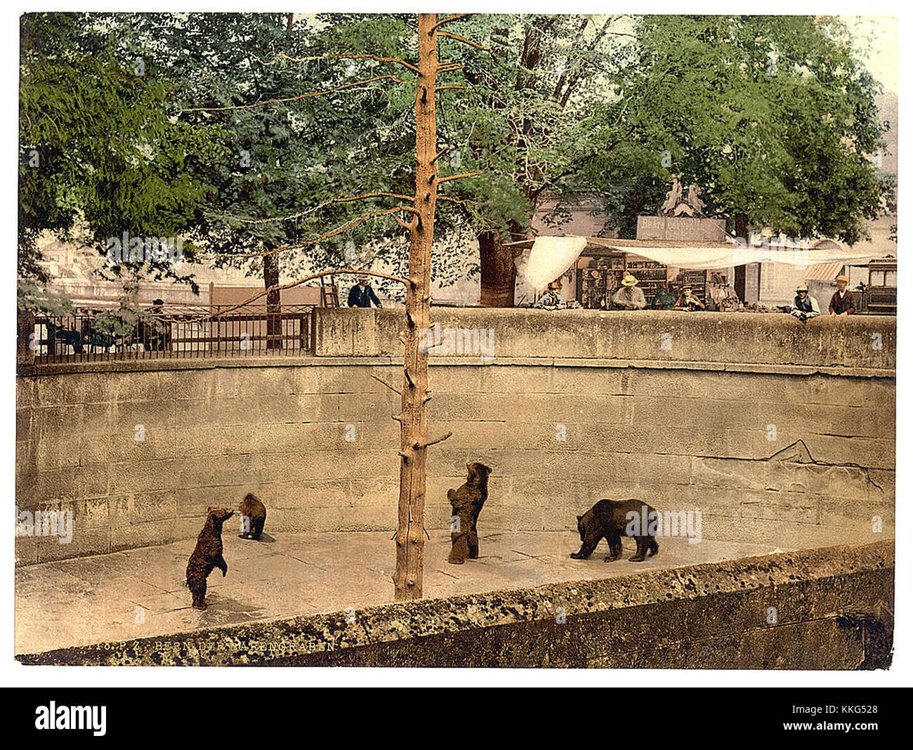 Vintage Zoo High Resolution Stock Photography and Images - Alamy
