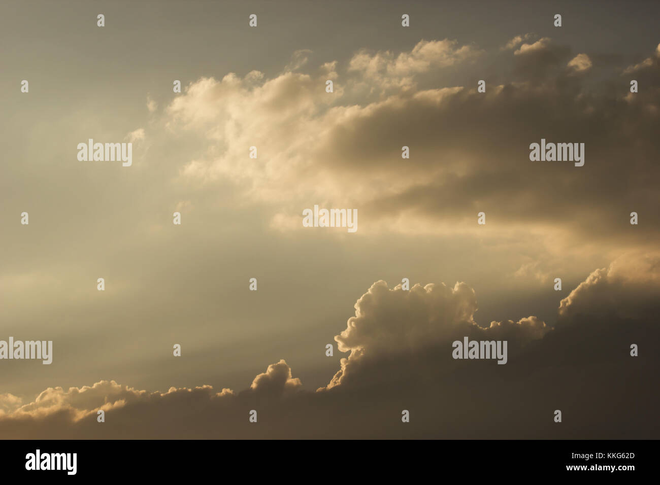 Strong contrast hi-res stock photography and images - Alamy