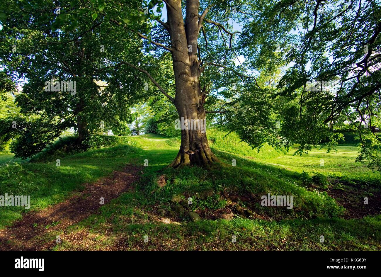 Tullaghoge Fort ancient earthwork ritual site, Cookstown, Co. Tyrone ...