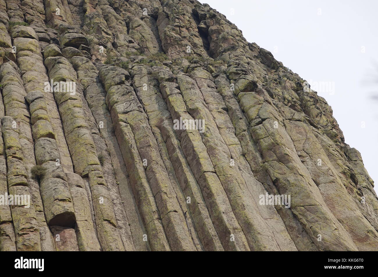 Rogers & Ripley Stake Ladder, Devils Tower National Monument Stock ...