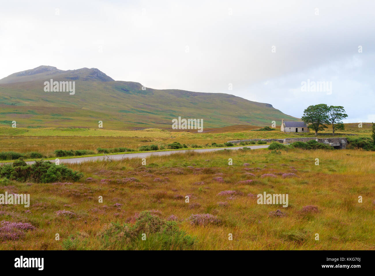 Scottish road trough countryside. Perspective road. Scotland panorama ...