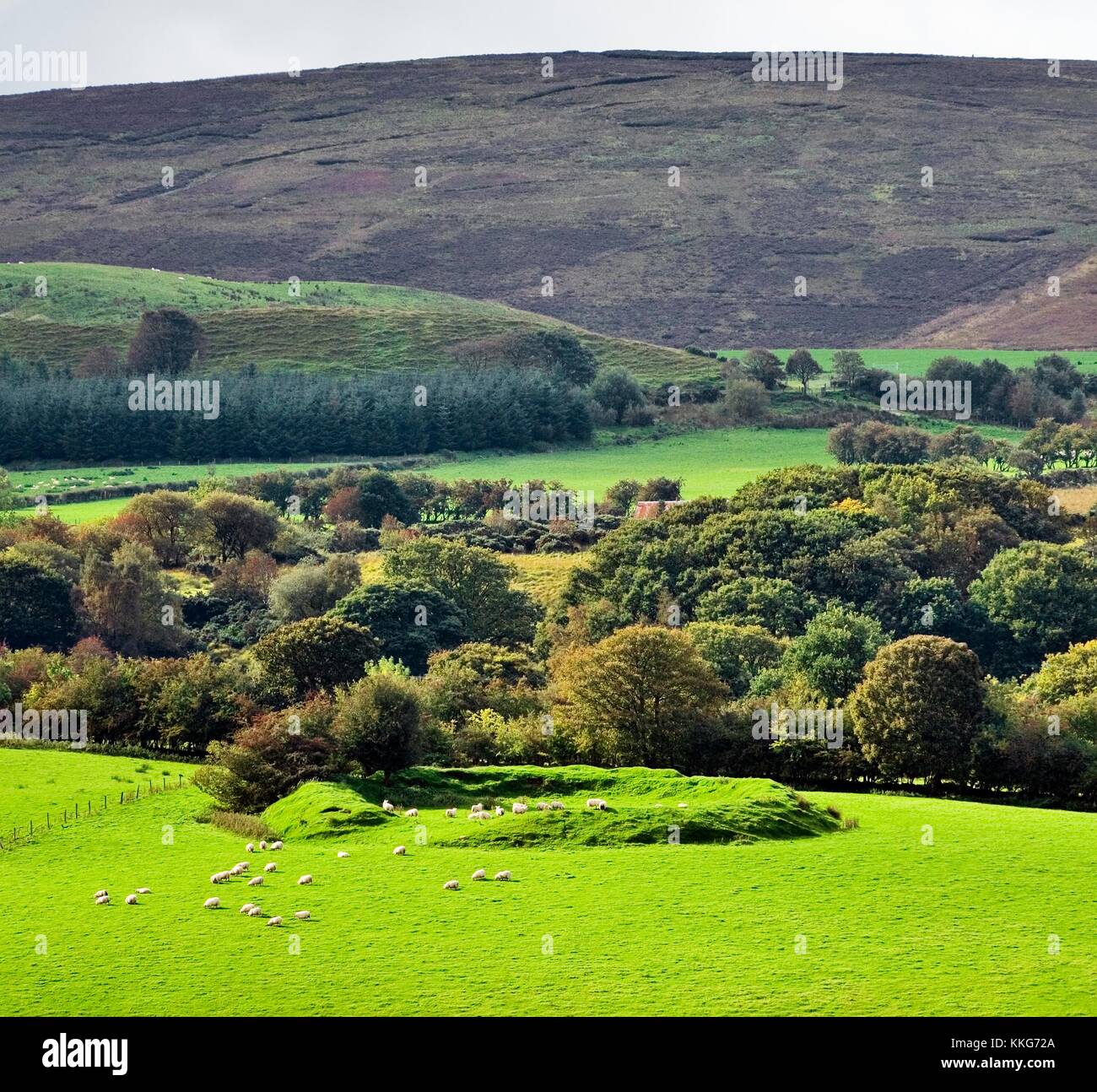 Iron Age rath fortified farmstead at Tamniarin, Benedy Glen. 1500 years ...