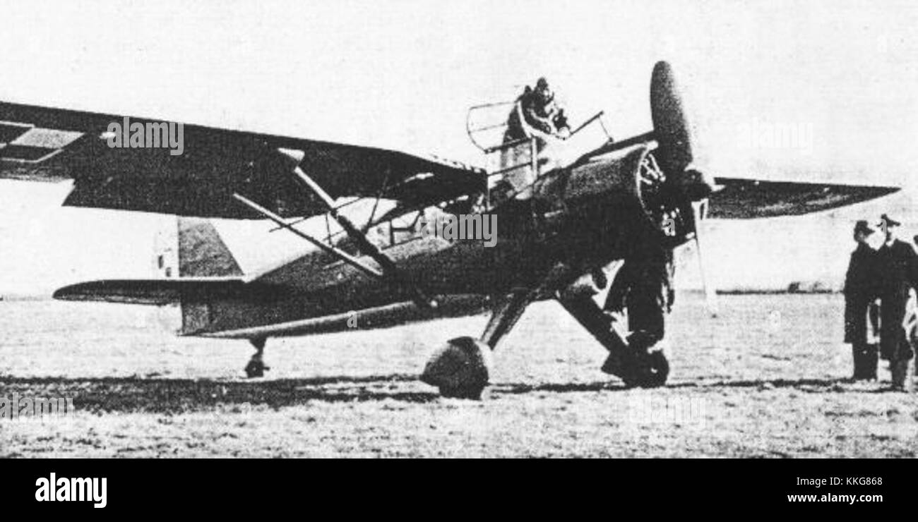 Mewa hi-res stock photography and images - Alamy