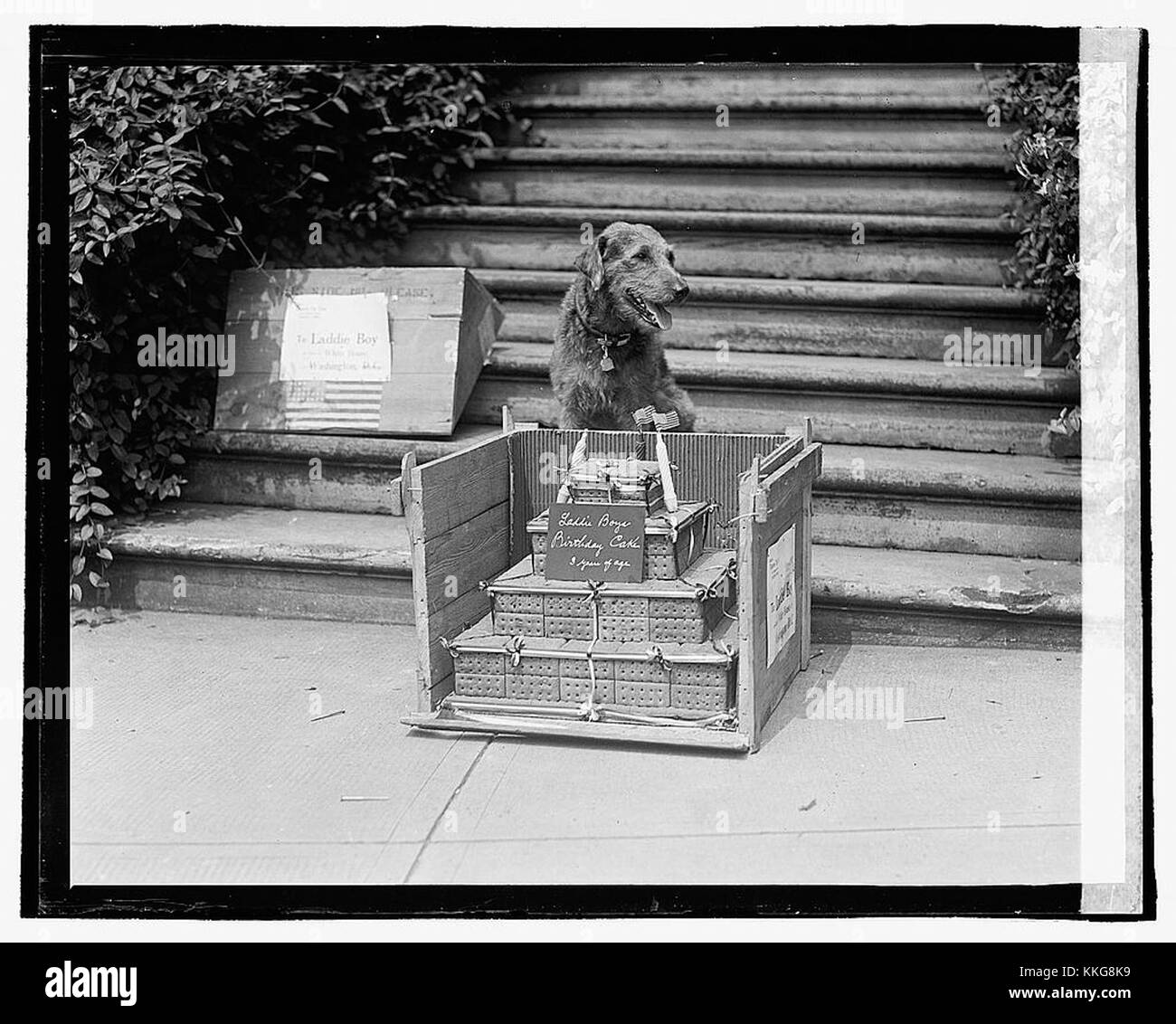 Warren g harding white house hi-res stock photography and images - Alamy
