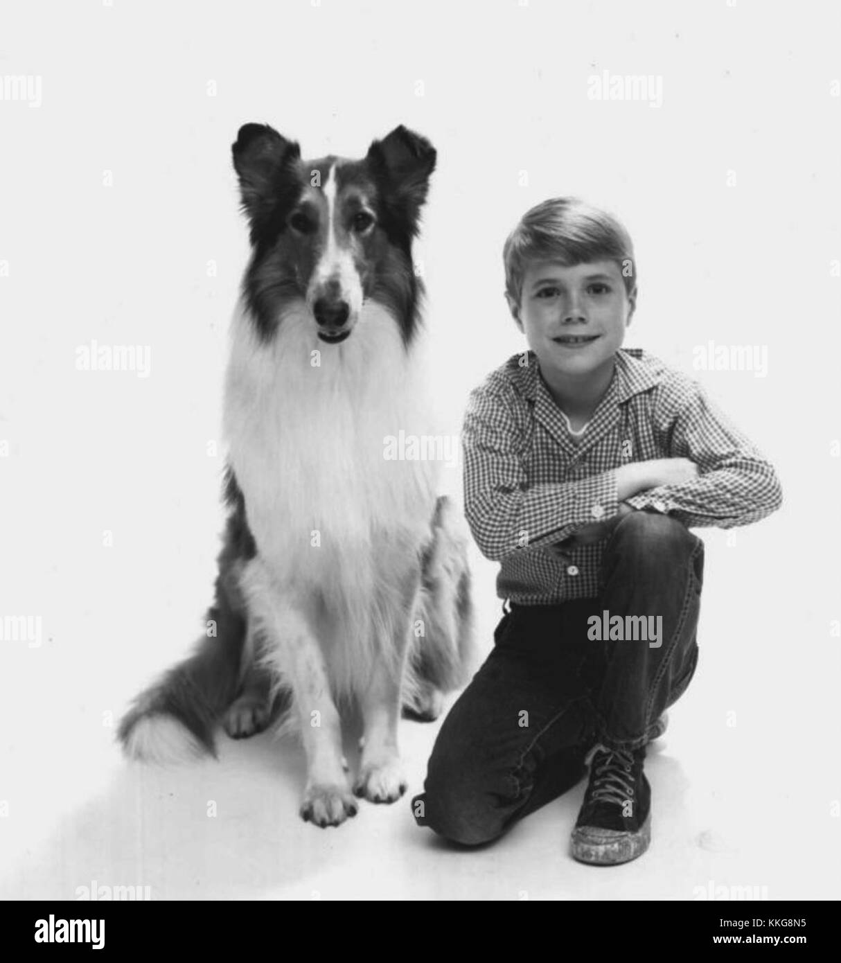 Jon Provost starred as Timmy Martin in the 1950s and 1960s TV series ...