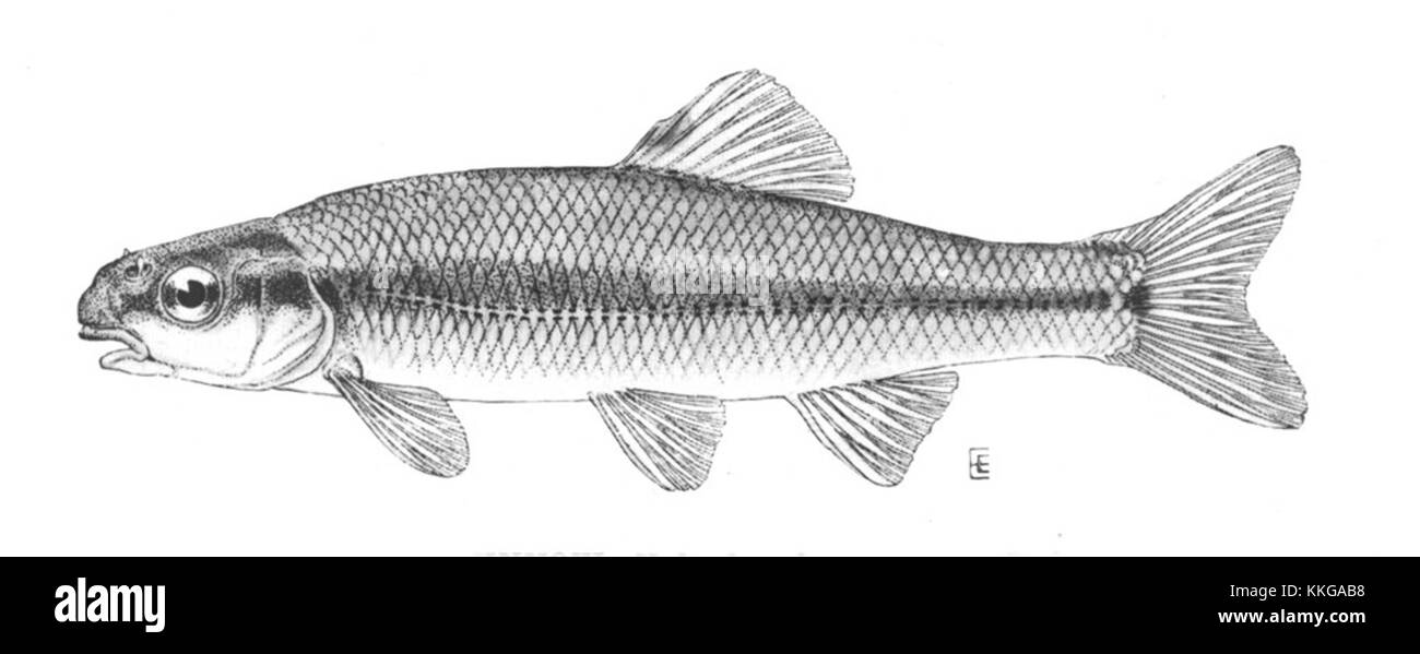 North america native america Cut Out Stock Images & Pictures - Alamy