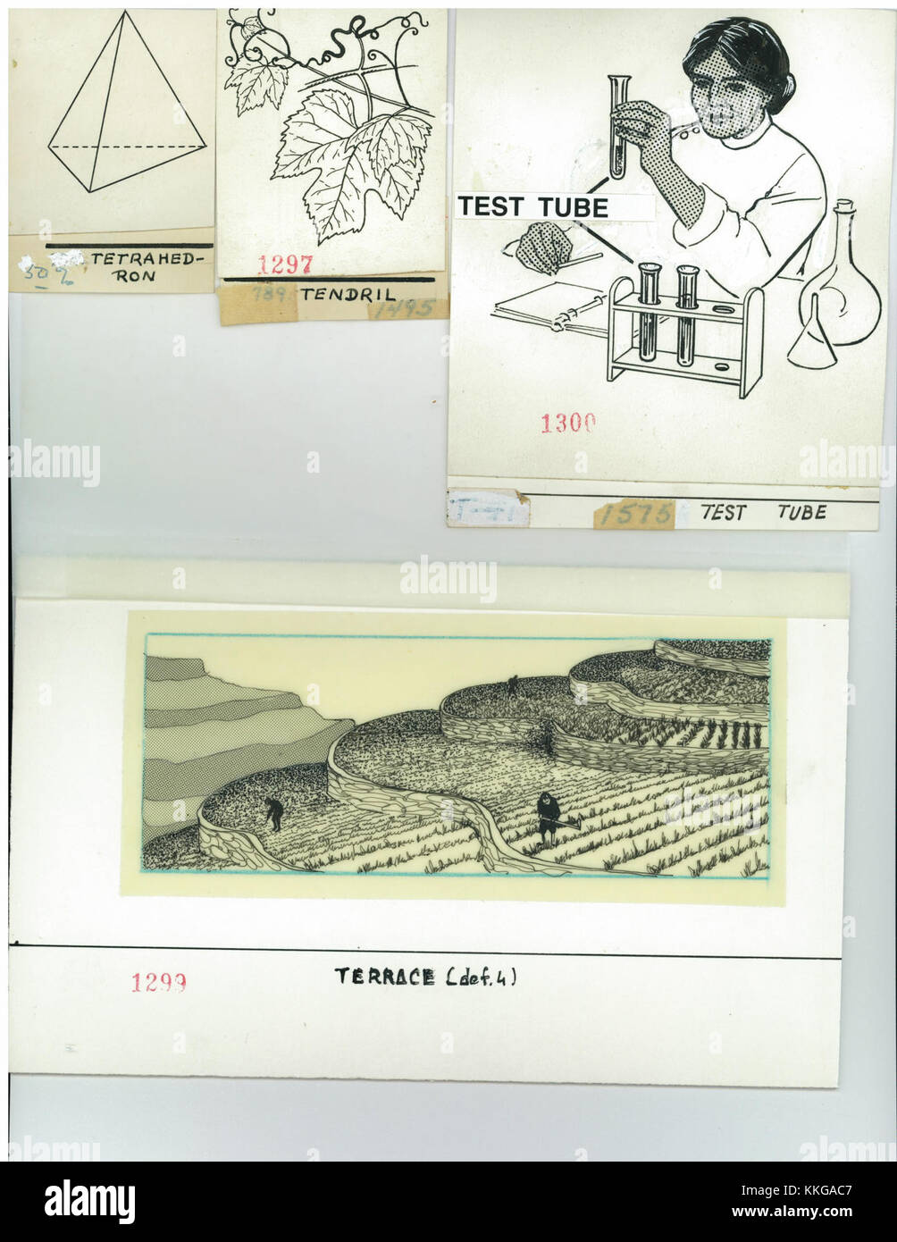 This image captures a significant moment in the field of PSF ...