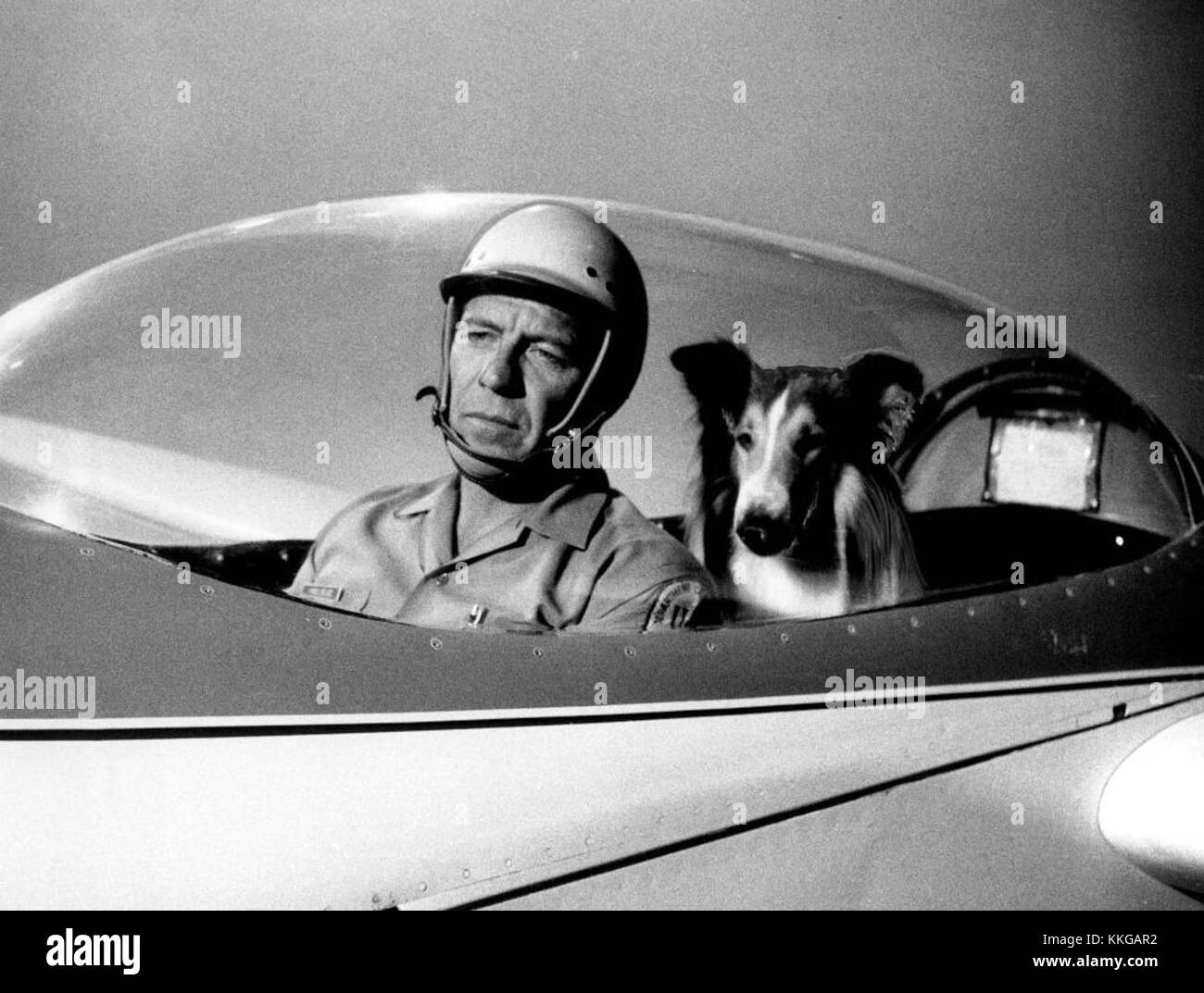 Robert Bray, an actor known for his role as the father on the *Lassie ...