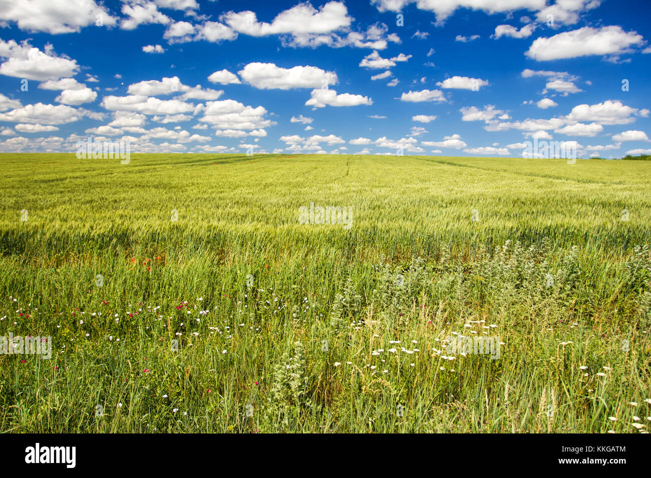 Field clouds sky shadow Stock Photo - Alamy