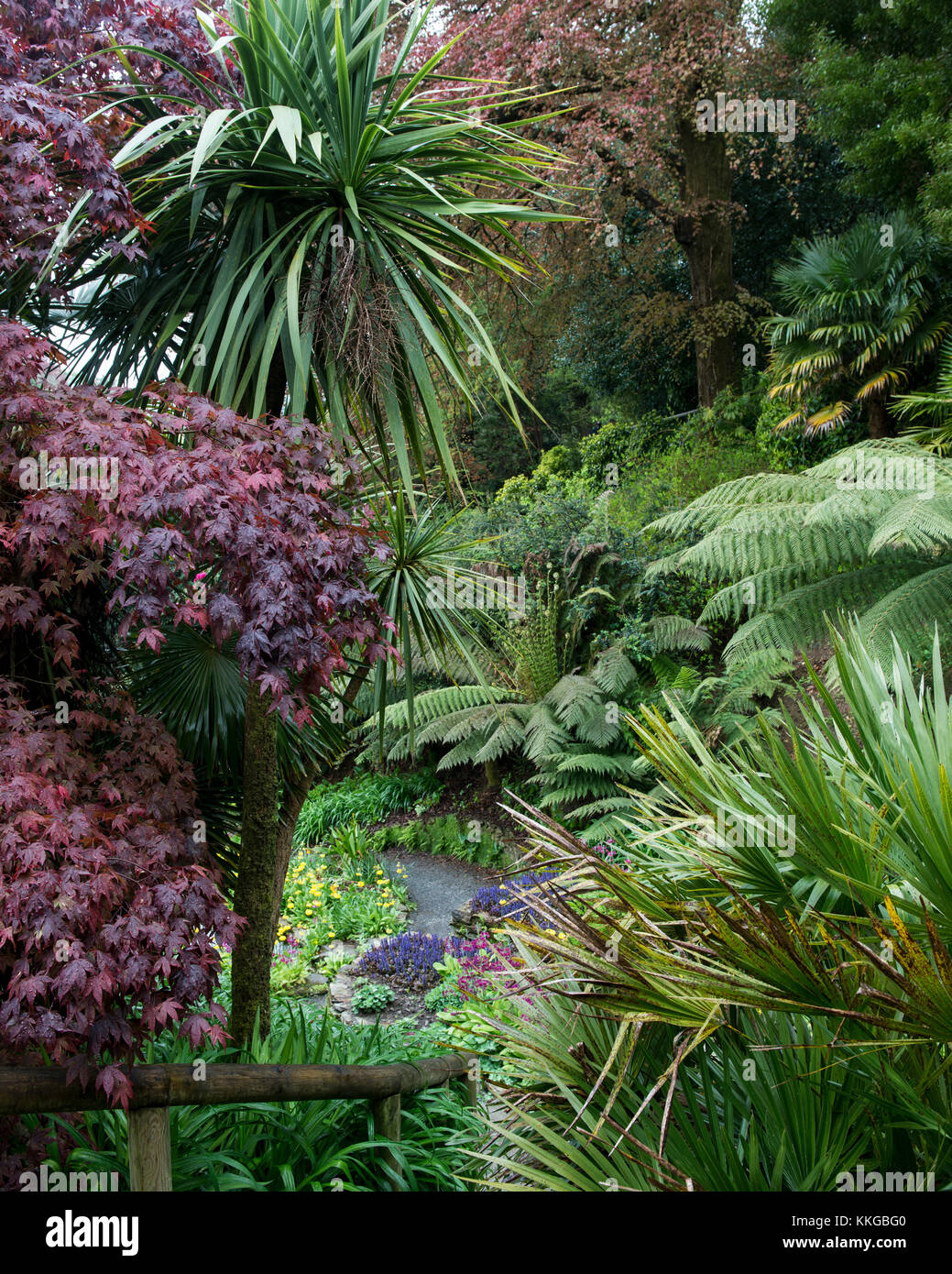 Mawnan smith hi-res stock photography and images - Alamy