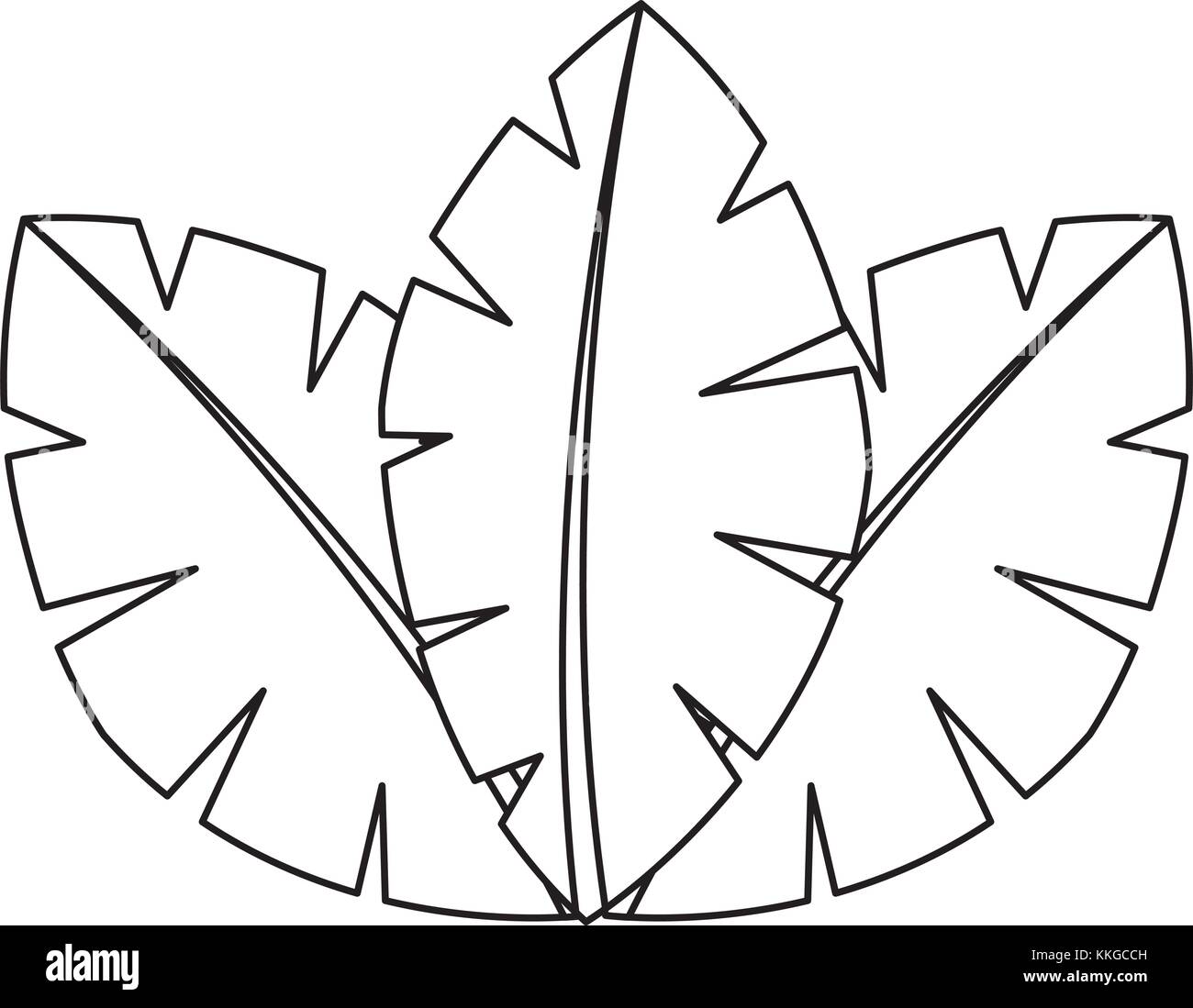 tropical leaves of palm tree flora image Stock Vector Image & Art - Alamy