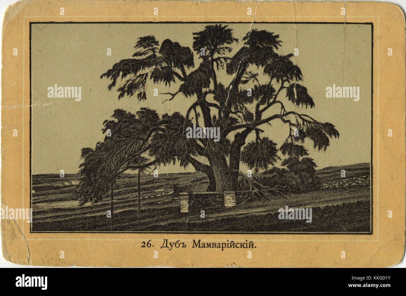 The Oak of Mamre is an ancient tree located in the Middle East ...