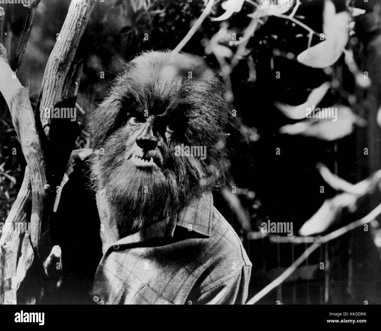 Alex Stevens werewolf Dark Shadows 1969 Stock Photo - Alamy