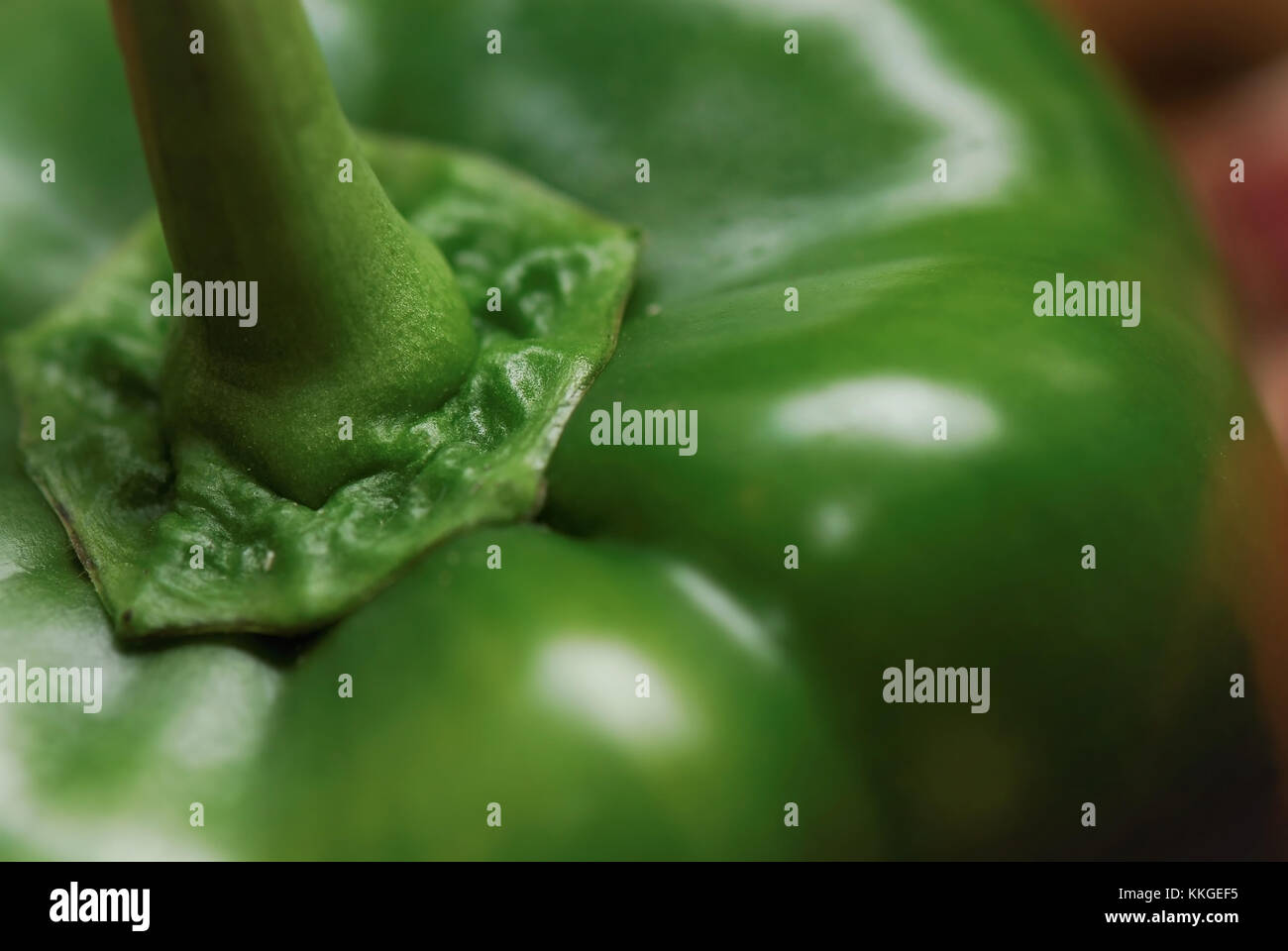Green Pepper Macro Close-up Stock Photo - Alamy
