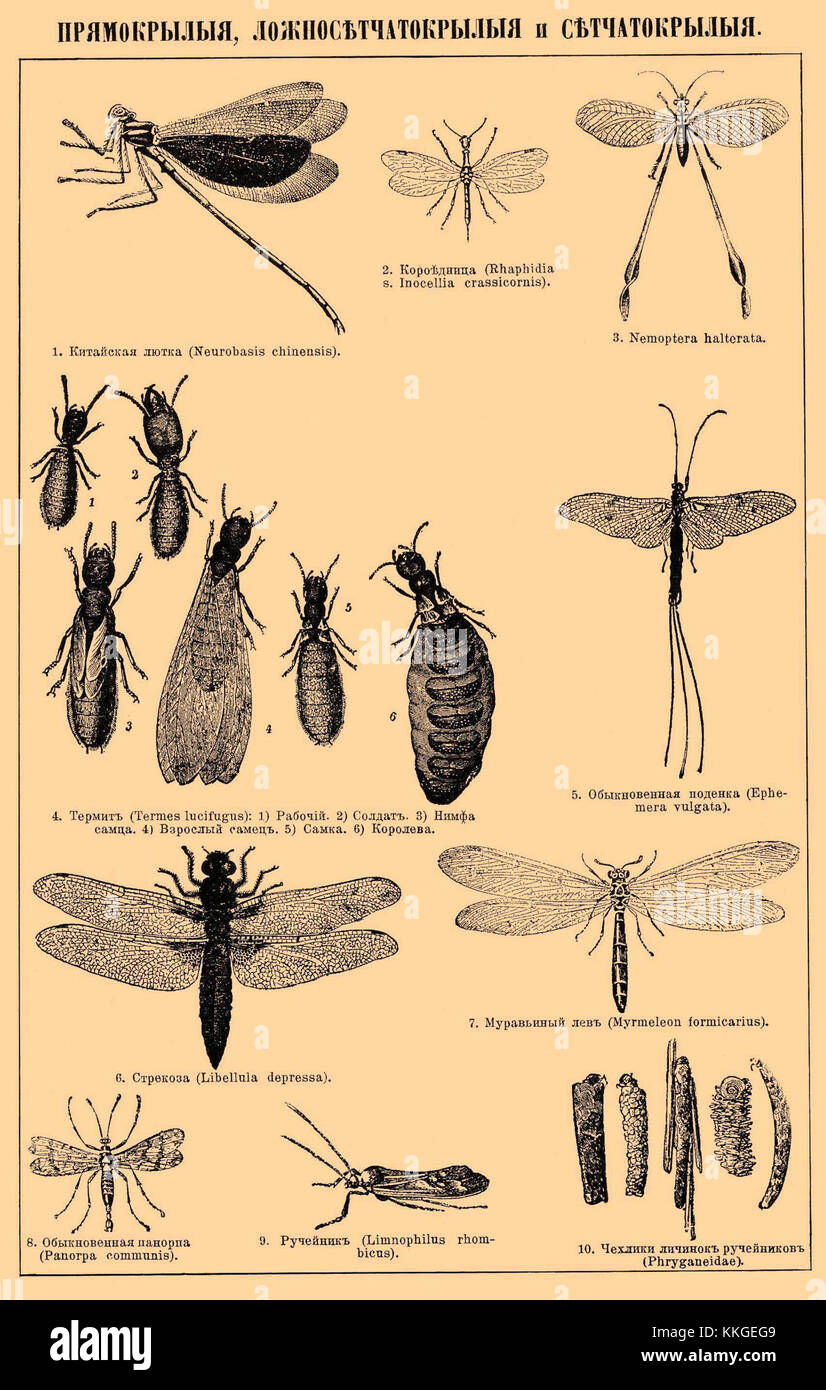 Encyclopediavolume hi-res stock photography and images - Alamy