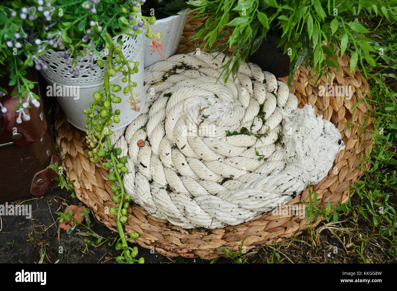 Beautiful still life in the garden. Jute rope, Mat, plants in the pot ...