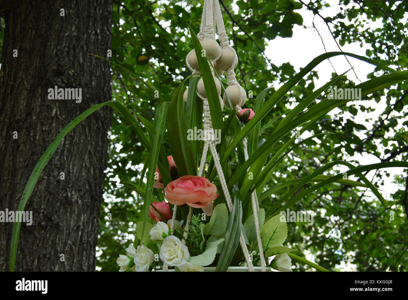Beautiful basket flower pot hanging on the tree in the garden in the ...