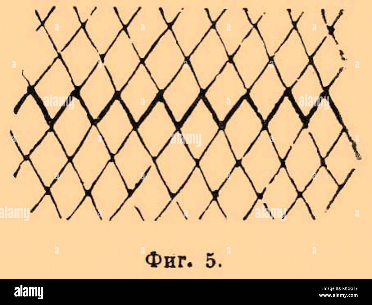 An image of pages 393 to 427 from volume 63 of the Brockhaus and Efron ...