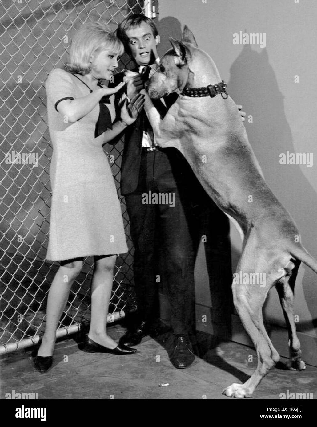 Susan Oliver High Resolution Stock Photography and Images - Alamy