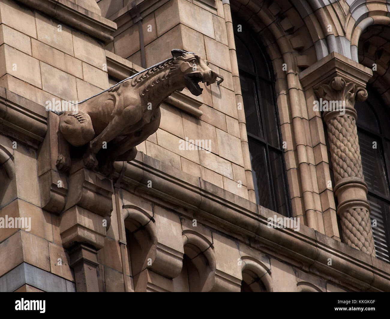British natural history hi-res stock photography and images - Alamy
