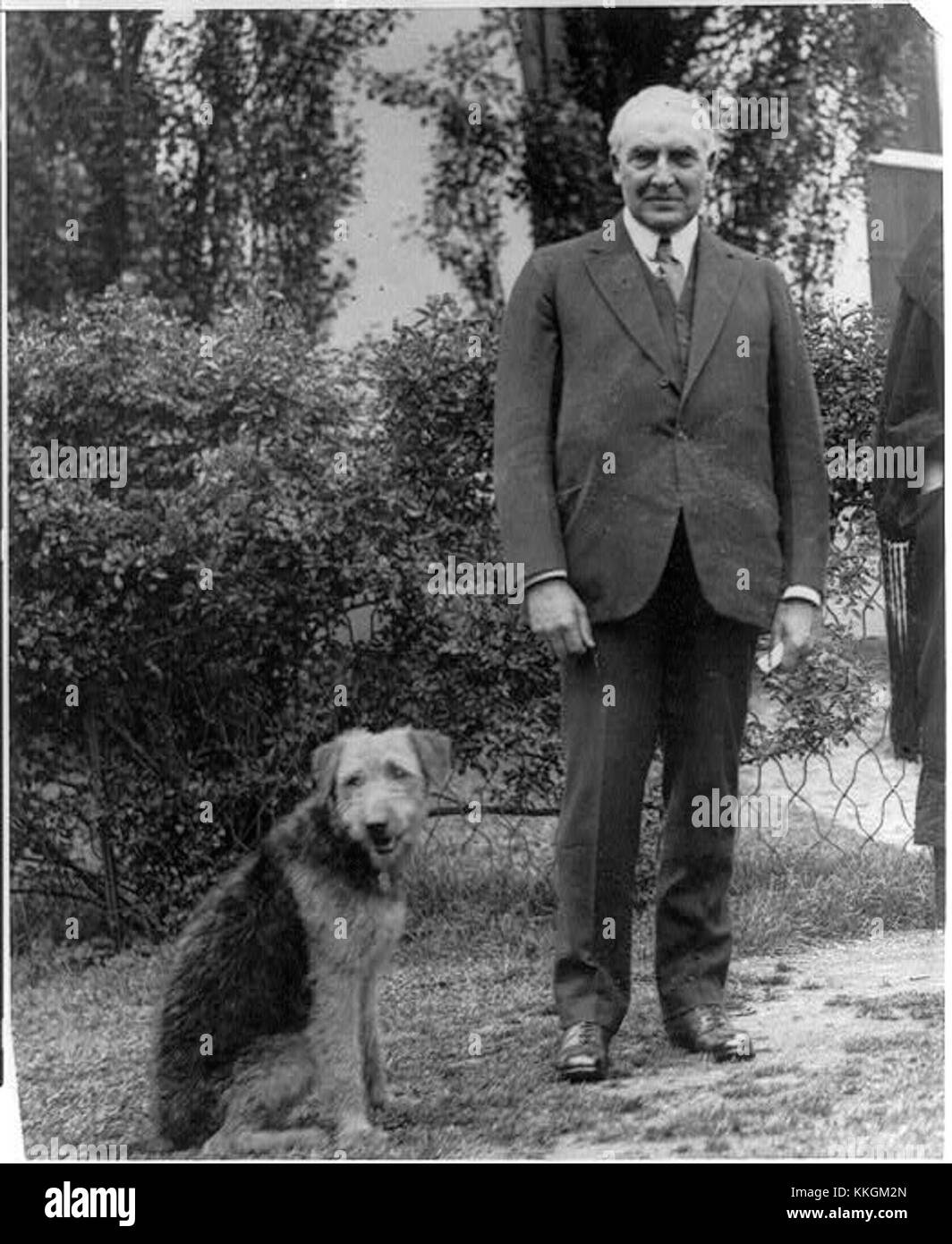 Harding and Laddie Boy refers to the relationship between President ...