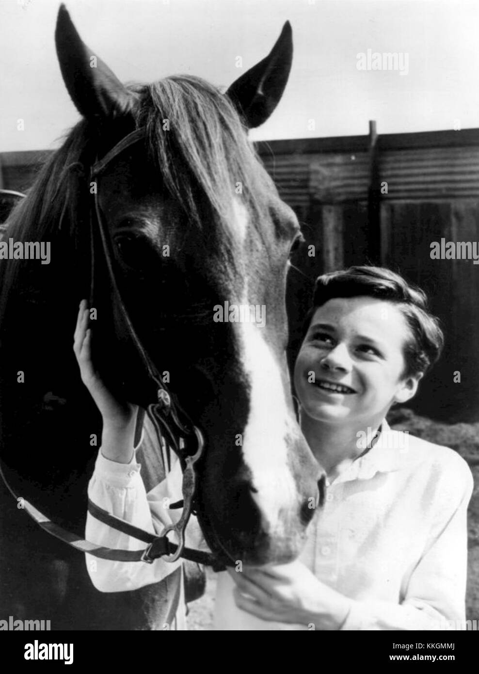 Johnny Washbrook My Friend Flicka 1962 Stock Photo - Alamy