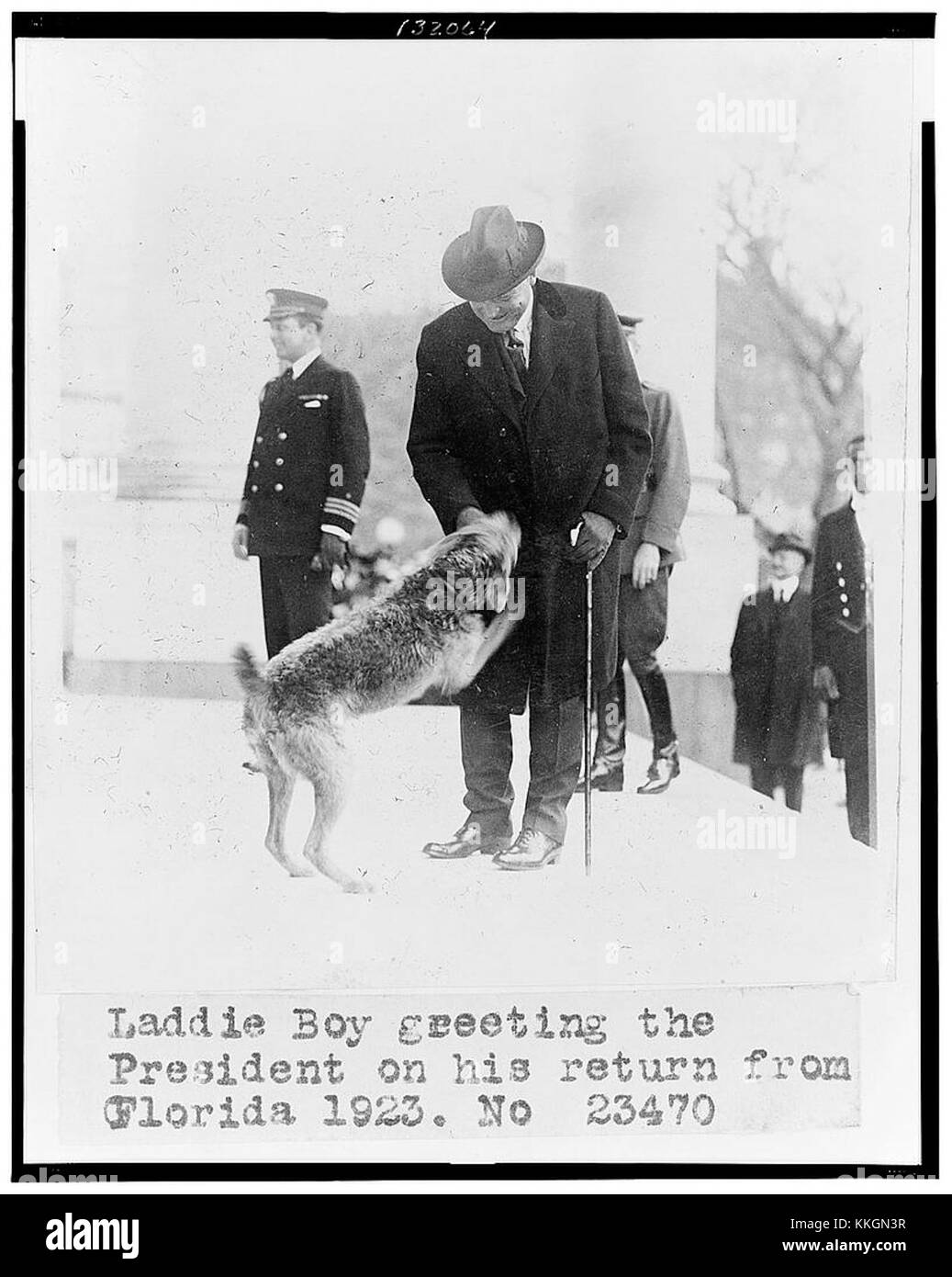 Laddie Boy, the first dog of President Warren G. Harding, became a ...