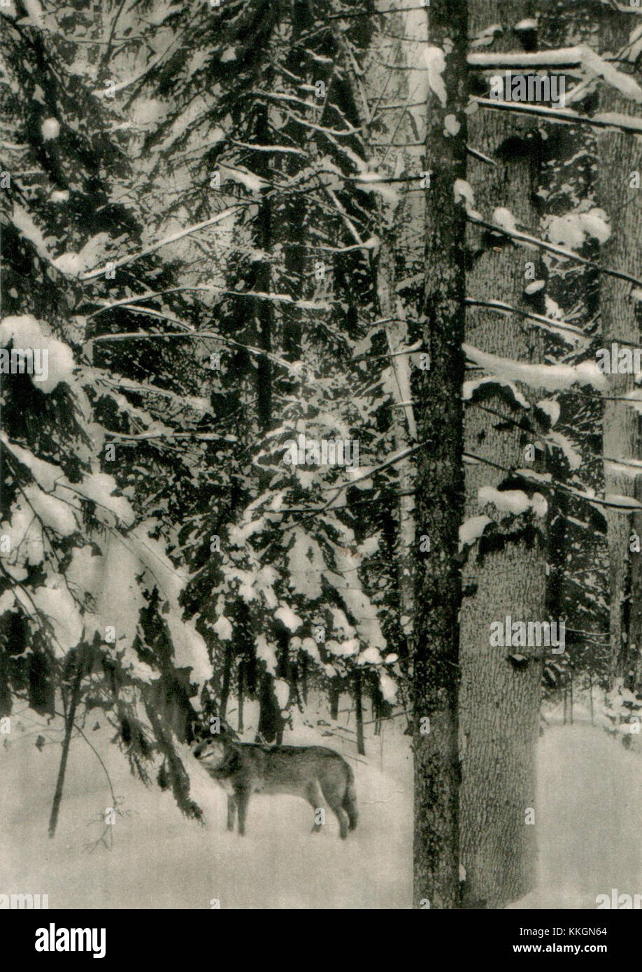 Karpinski hi-res stock photography and images - Alamy