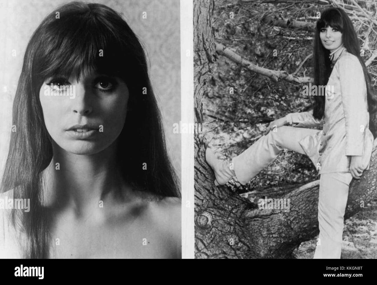 Female singer 1960s hi-res stock photography and images - Alamy