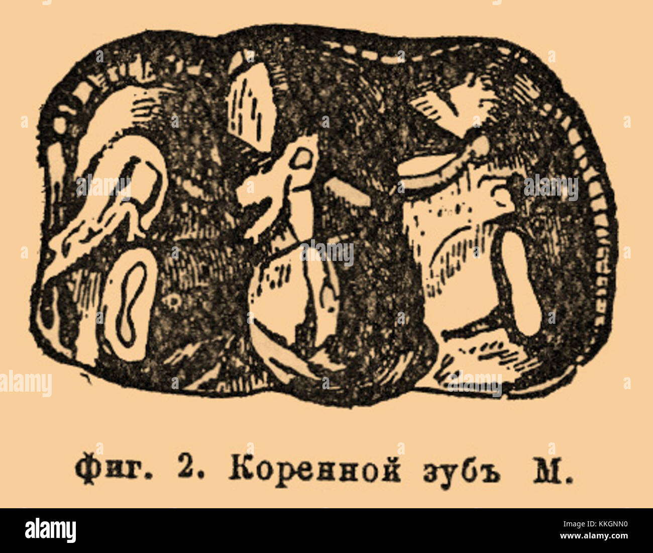 The Brockhaus and Efron Encyclopedic Dictionary is a renowned multi ...