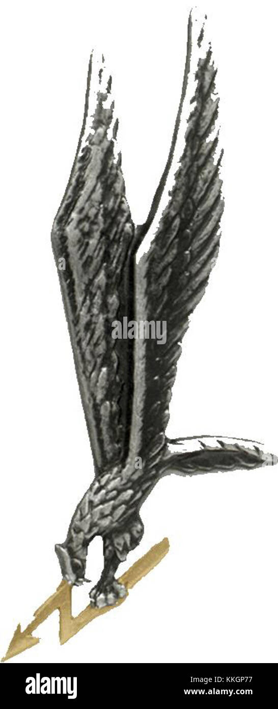 The *Odznaka Grom* is a Polish military badge, symbolizing elite forces ...