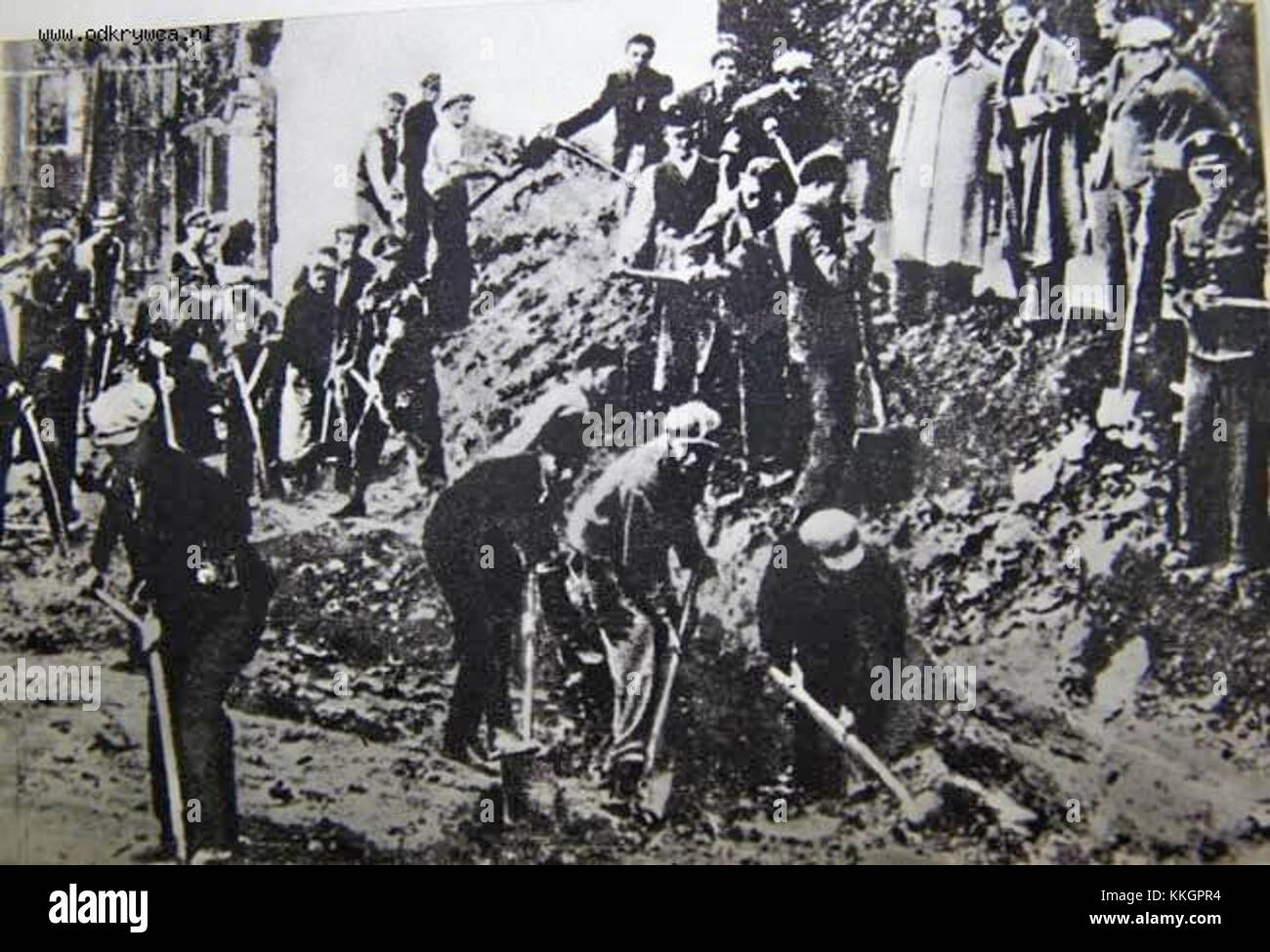 RBOW is an abbreviation or acronym, potentially representing a group ...