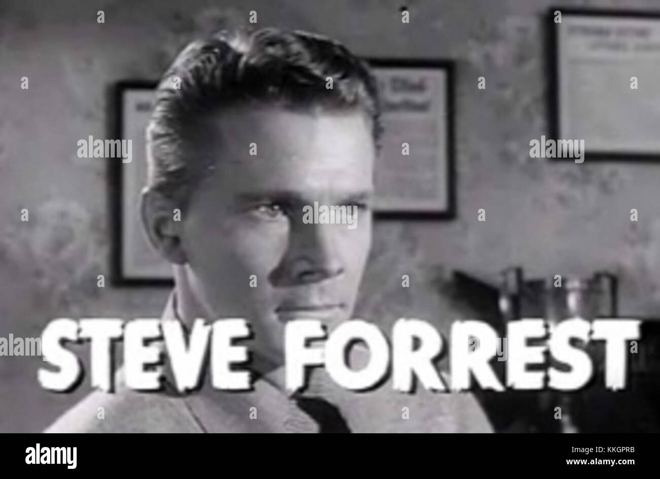 Steve Forrest was an American actor best known for his role in the TV ...