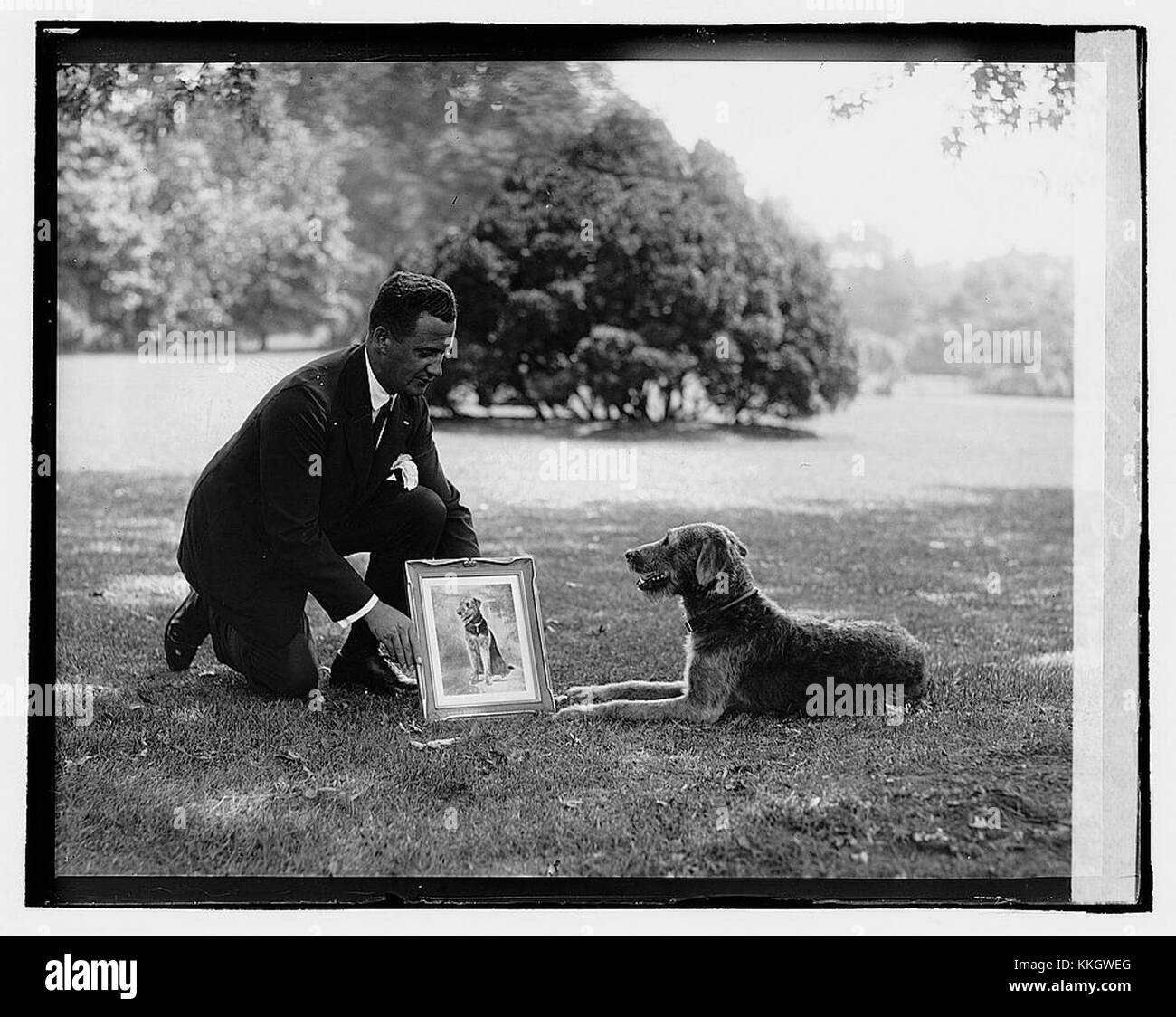 Laddie Boy, the famous dog of President Warren G. Harding, is pictured ...