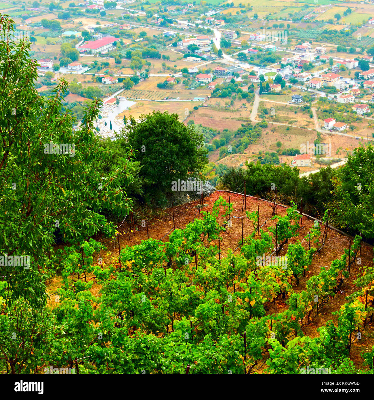 Vineyard with rocks hi-res stock photography and images - Alamy