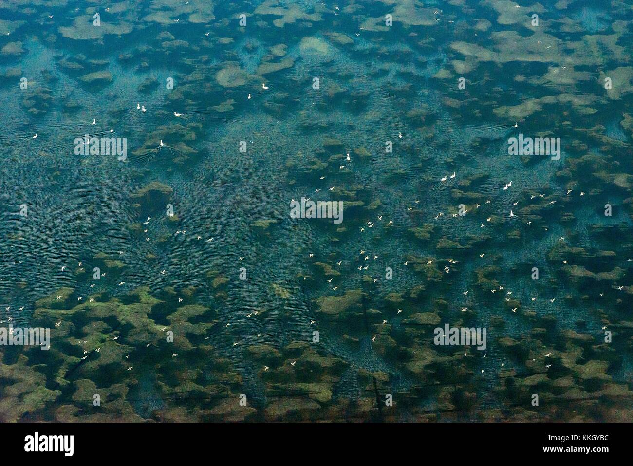 Aerial images of Astrakhan oblast, Russia. Volga Delta Stock Photo - Alamy