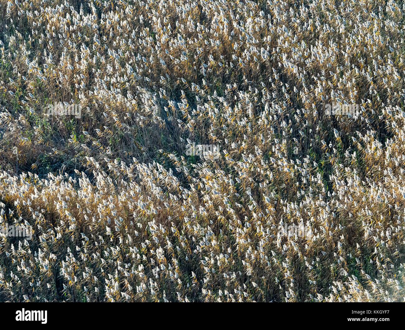 Aerial images of Astrakhan oblast, Russia. Volga Delta Stock Photo - Alamy