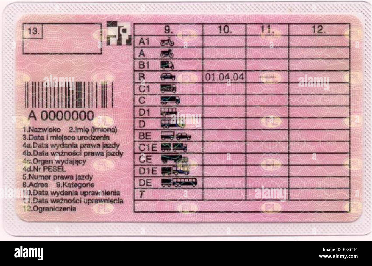 An image of the rear side of a Polish driving license, displaying ...