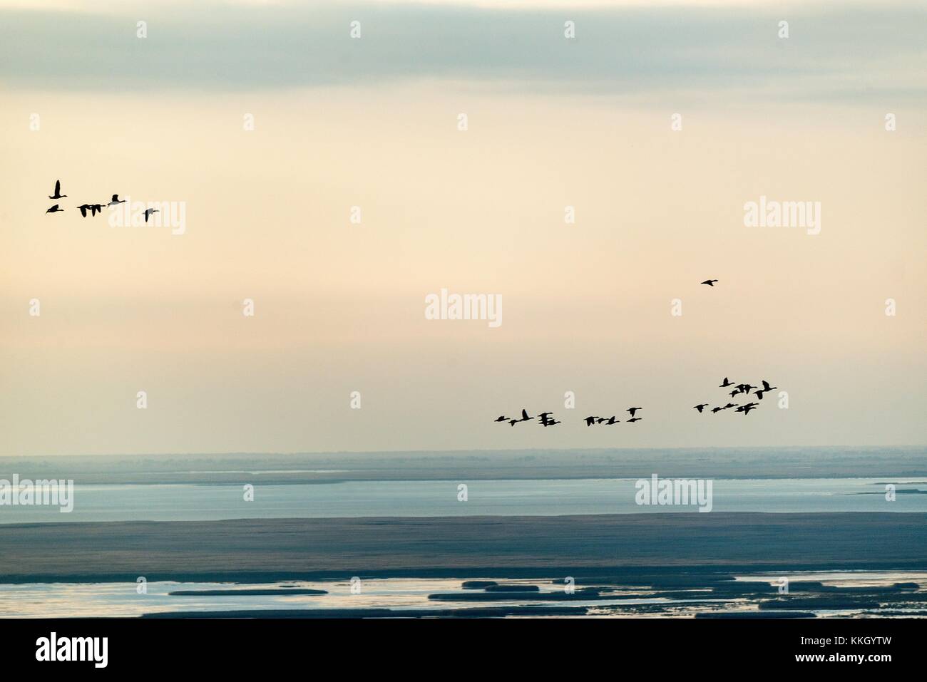 Aerial images of Astrakhan oblast, Russia. Volga Delta Stock Photo - Alamy