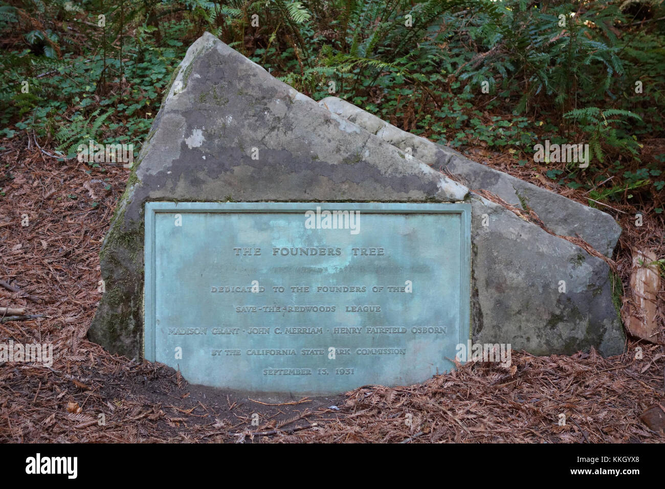 The Founders Tree plaque, located in Humboldt Redwoods State Park ...