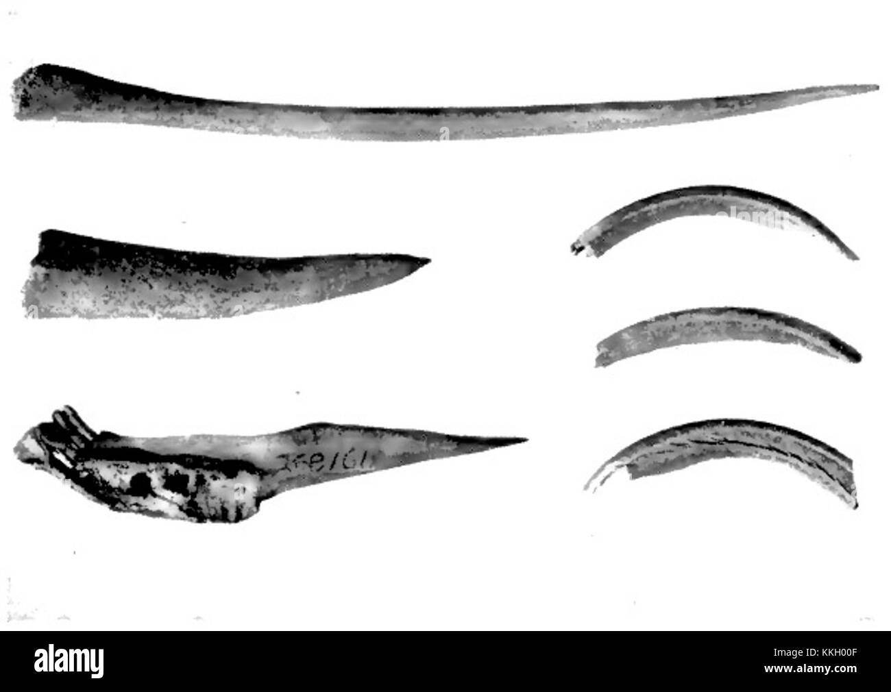 In activities of daily life Cut Out Stock Images & Pictures - Alamy