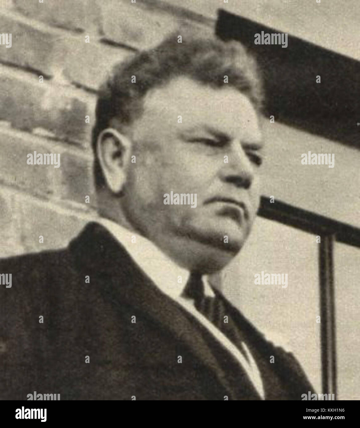 Ludwik Hammerling was a Polish author, poet, and journalist known for ...