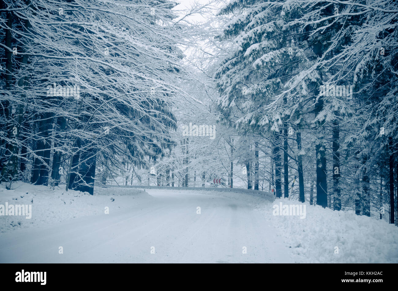road through winter forest covered by snow Stock Photo - Alamy