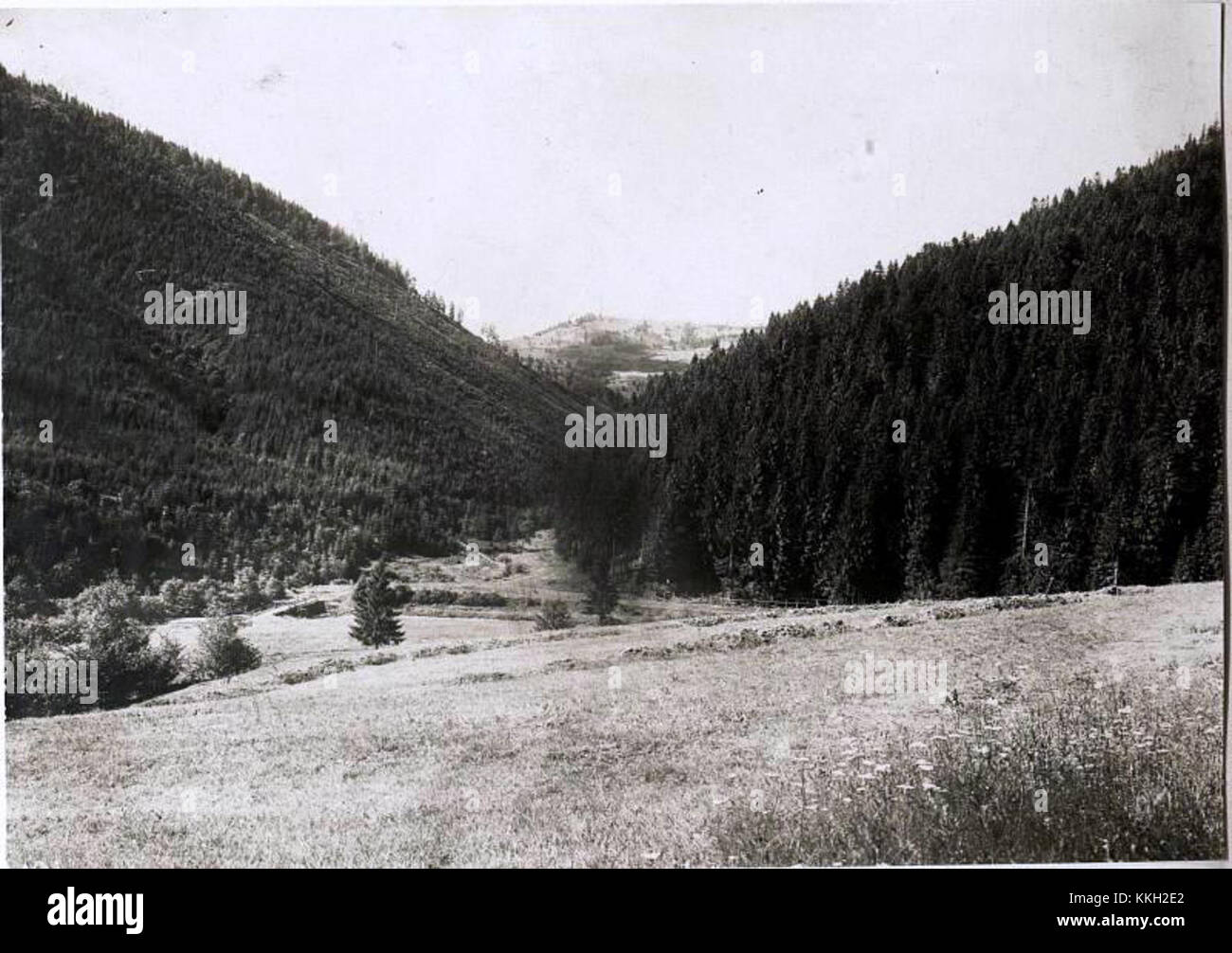 This 1916 view between Makowka and Klewa to Menczel presents a ...