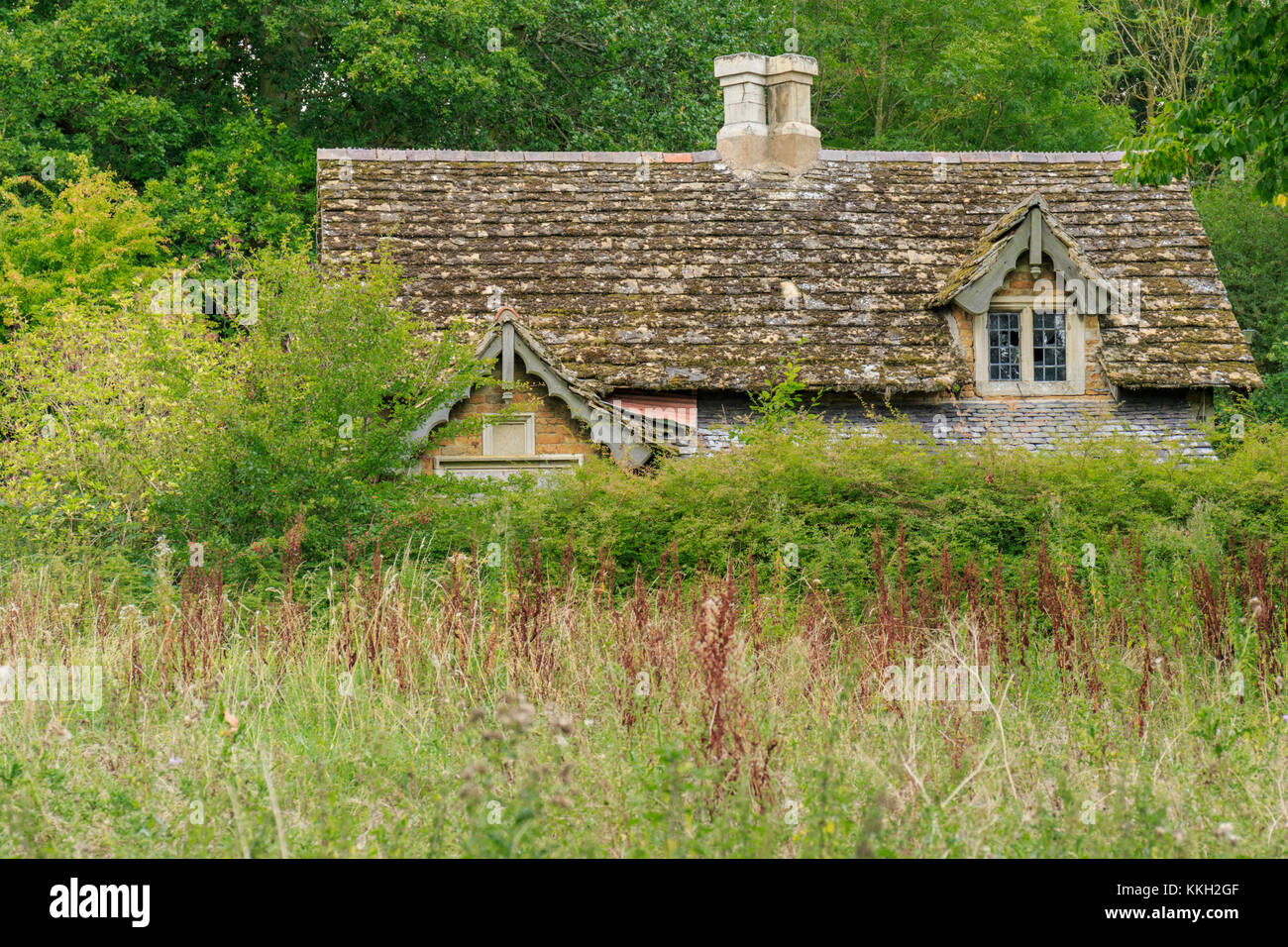 Derelict cottage in the wood and overgrown garden Stock Photo - Alamy