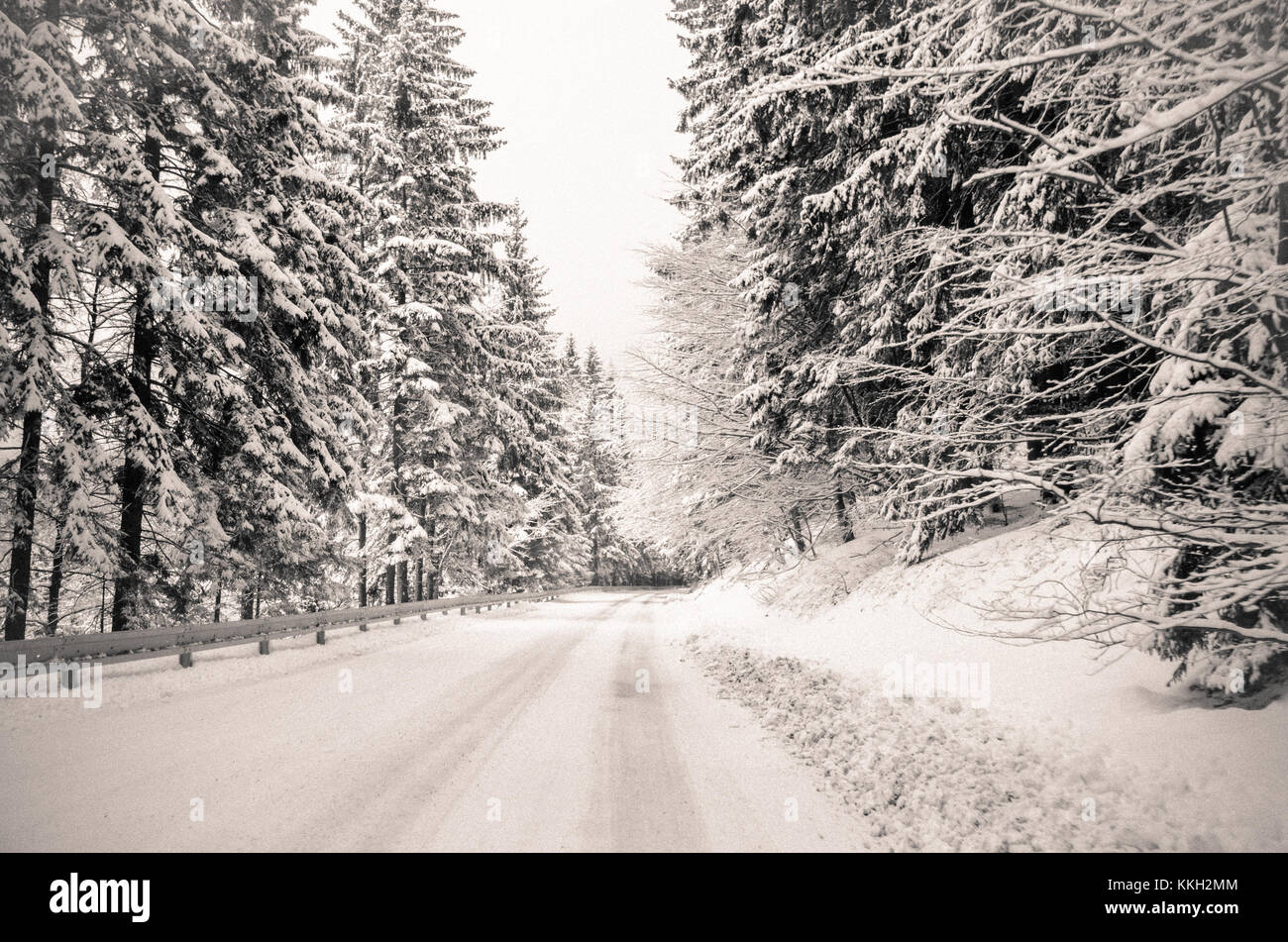 road through winter forest covered by snow Stock Photo - Alamy