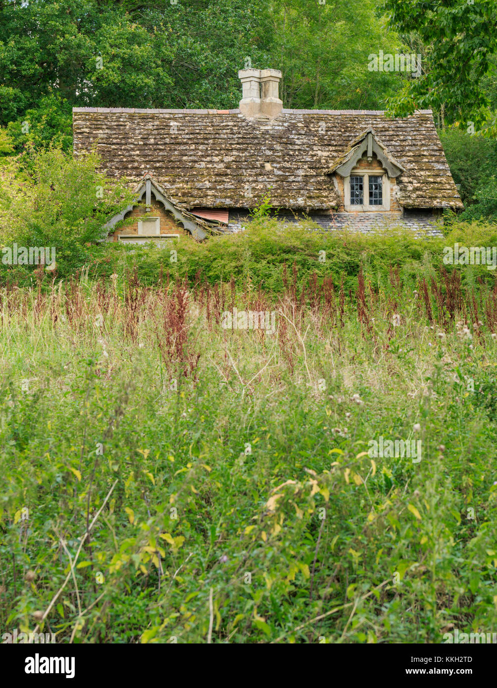 Derelict cottage in the wood and overgrown garden Stock Photo - Alamy